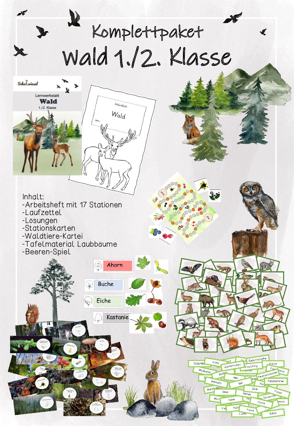 Komplettpaket Wald 1./2. Klasse | Schulwiesel